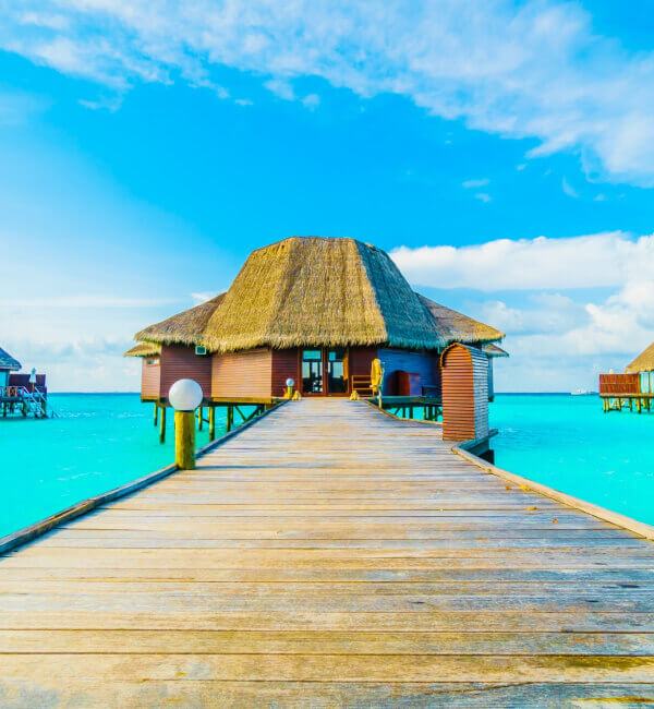 Travelia - Explore the world